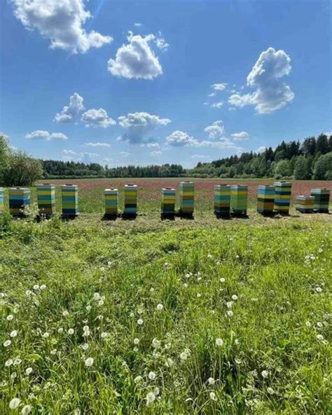 Its Bread 33 All Sections Ads For Sale In Ireland Donedeal