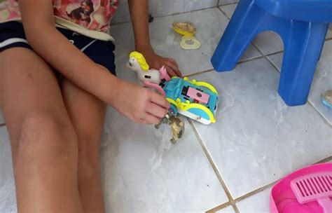 Casal é Preso Por Suspeita De Tortura Contra Três Crianças
