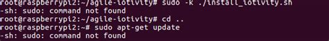 Cannot Execute Any Command Using Sudo On Raspberry Pi Stack Overflow