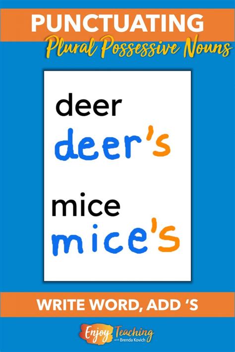 How To Teach Plural Possessive Nouns Rules Without Tears