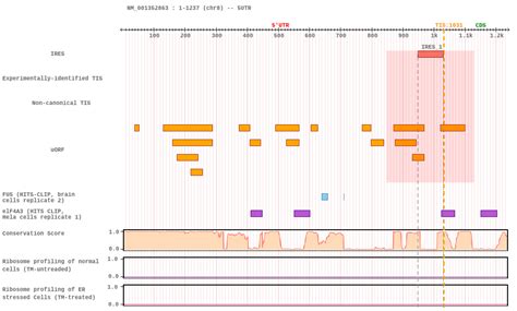Human Ires Atlas Ires Detail