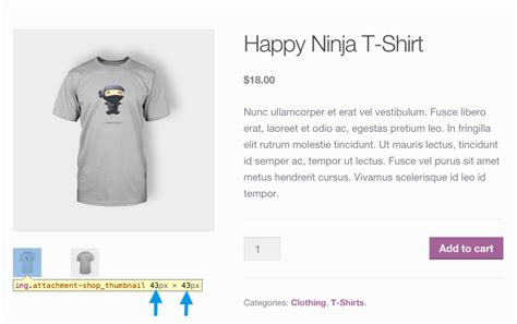 common woocommerce issues and how to fix them
