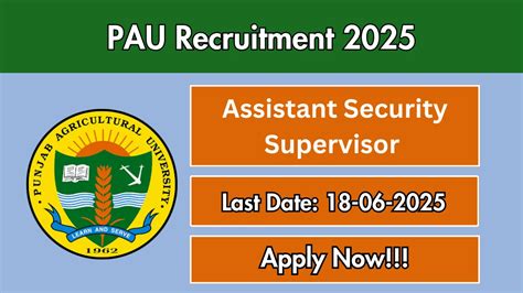 Pau Assistant Security Supervisor Recruitment 2025 Apply Offline