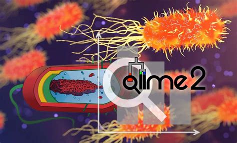 Microbiome Analysis Using Qiime2 Bioinformatics Uwmadison
