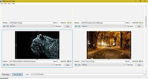 best free bulk crop image software for windows