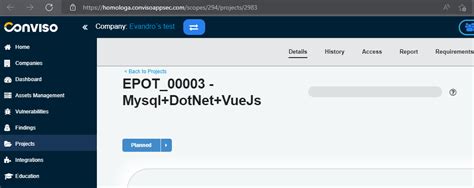 Security Requirements With The Conviso Platform Api