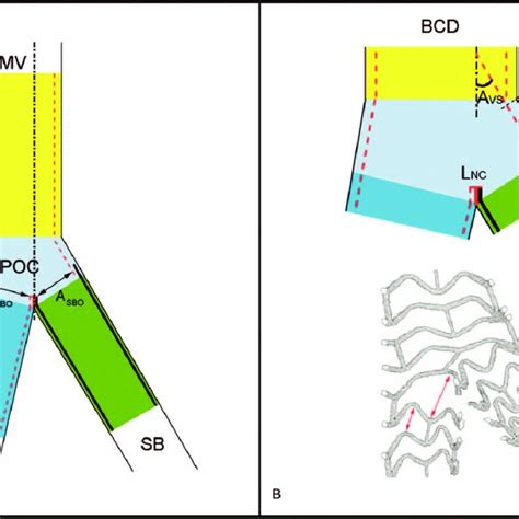 Bifurcation Segmentation And Scaffold Morphological Analysis A