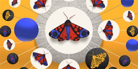 Decoding Science Creative Science Writing