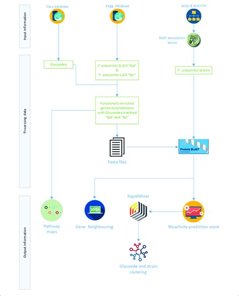 Schematic Of The Computational Workflow Supporting The Analysis Of
