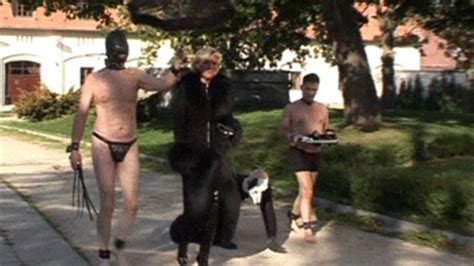 Mistress Athena In The Owk Part 1 Mpeg2 Video Clip Dvd Quality