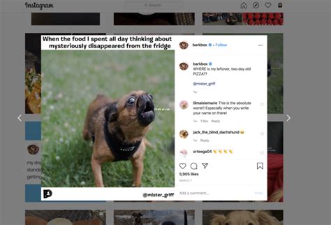 Meme Barkbox 768x523 Levica