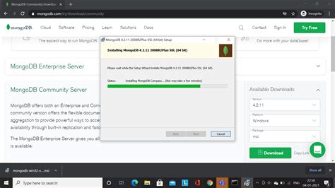 How To Install MongoDB RemoveLoad Educational Academy