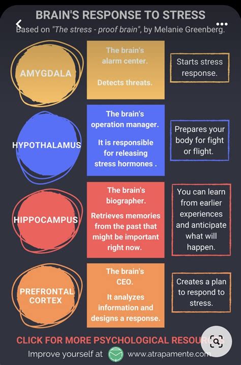 Difference Between Neurotransmitters And Hormones Compare The Difference Between Similar Terms