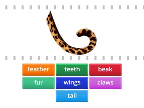Vocabulary Matching Find The Match