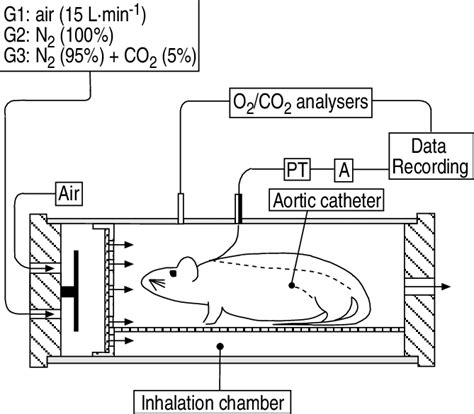 Experimental Set Up Pt Pressure Transducer A Amplifier G Gases Download Scientific