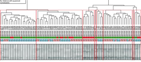 Hierarchical Clustering Of The Averaged Daily Movement Patterns Of Each Download Scientific