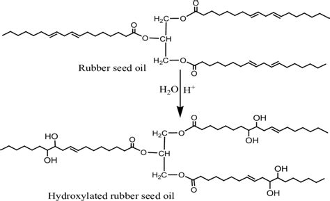 The Proposed Of Addition Reaction Download Scientific Diagram