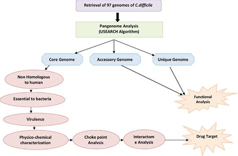 Redefining Genomic View Of Clostridioides Difficile Through Pangenome Analysis And