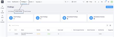 Easm Findings The Netspi Platform