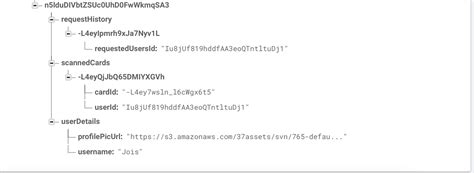 Javascript Firebase Database Delete All Nodes Equalto A Particular