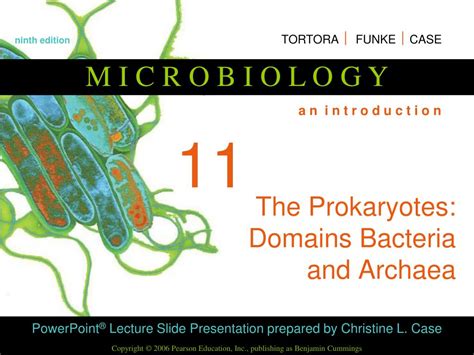 Ppt The Prokaryotes Domains Bacteria And Archaea Powerpoint Presentation Id 6135344