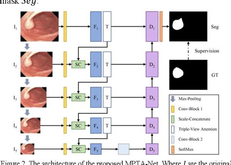 figure 2 from mpta net multi scale perception network with triple view