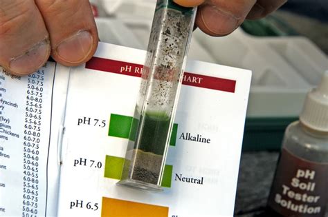How To Test Your Soil Ph Artofit