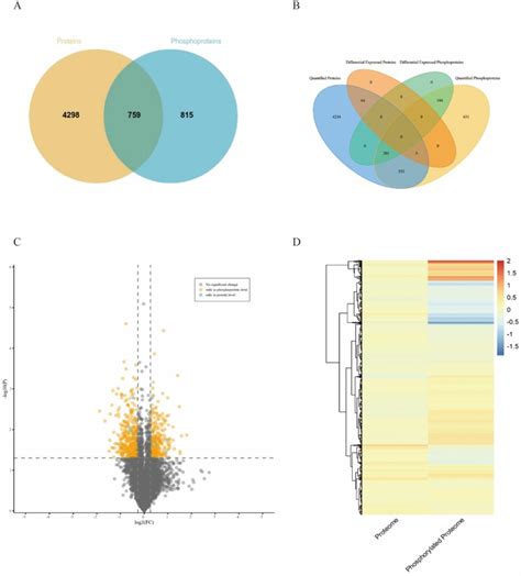 Correlation Analysis Between Proteomic And Phosphoprotemic Data A Download Scientific