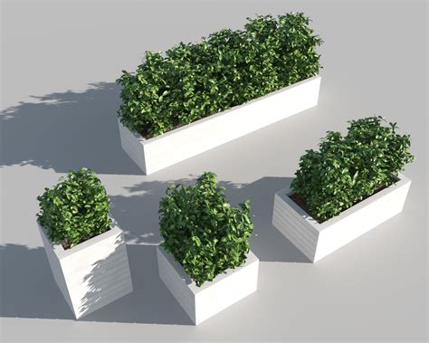 Shrub Rectangular Planter 3d Model