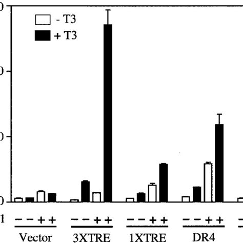 pgc 1 potentiates tr1 transactivation in hela cells hela or cv 1 cells