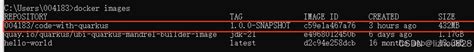 idea中quarkus框架 3 13版本 开发、调试、部署、打包等 idea quarkus csdn博客