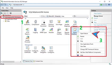 self signed certificate using web iis server ssrs pbirs