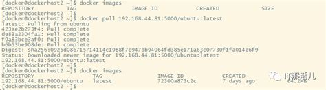 Docker入门 Hub官方仓库使用及搭建本地私有仓库（centos 7） 墨天轮