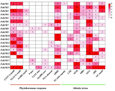 The Analysis Of Conserved Cis Elements Associated With Phytohormone