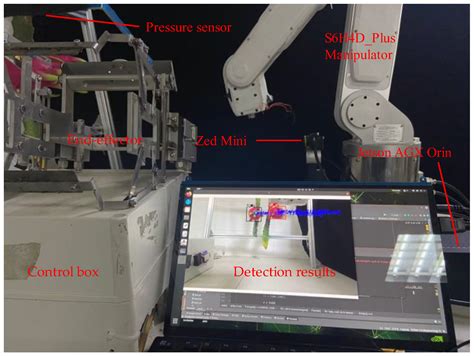 Rde Yolov7 An Improved Model Based On Yolov7 For Better Performance In Detecting Dragon Fruits