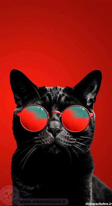 25 عکس از بک گراند زیبا برای کامپیوتر که روح تازه ای به دسکتاپ شما می بخشد