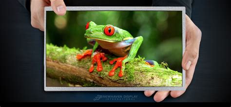 TFT Display Now Available In Screen Size