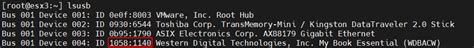 How To Use USB Drives As VMFS Datastore In VSphere ESXi 8 0 Virten Net