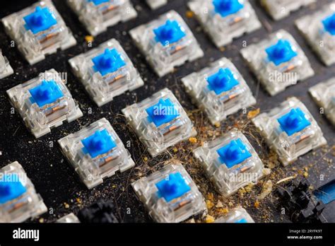 Dirty Mechanical Keyboard Without Keycaps Before Cleaning Stock Photo Alamy