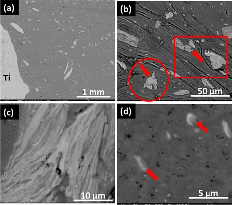 Sem Micrographs Showing A The Weld Cross Section B The Plasticized Download Scientific Diagram