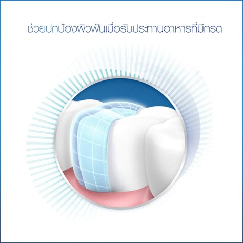 Oral B ออรัลบี ยาสีฟัน ป้องกันฟันผ 160 กรัม Gum And Enamel Care Toothpaste 160 G Shopee Thailand