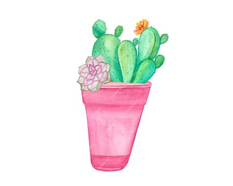 수채화 즙이 많은 클립아트 세트 아름답게 배열된 손으로 그린 다채로운 즙이 많은 식물 프리미엄 벡터