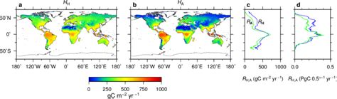 Spatial Distribution Of Heterotrophic Respiration A And Autotrophic Download Scientific