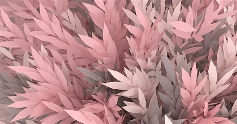 벽에 그림자가 있는 눈에 거슬리지 않는 식물 배경 트렌디한 표지 엽서 프리미엄 제품 3d 렌더링을 위한 밝은 파스텔 배경의 쇼케이스 0명에 대한 스톡 사진 및 기타 이미지