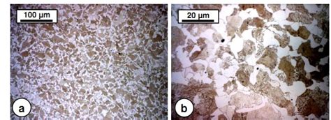 Initial Microstructure Of The Machined Material Download Scientific Diagram