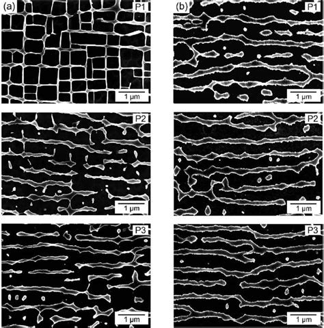 sem micrographs showing the microstructures at different radial