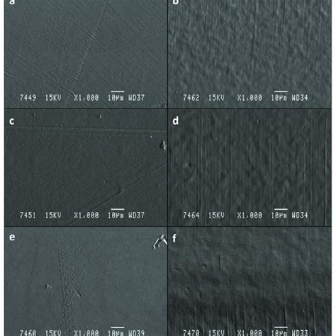 Surface A C E And Cross Section B D F Sem Micrographs 1000×