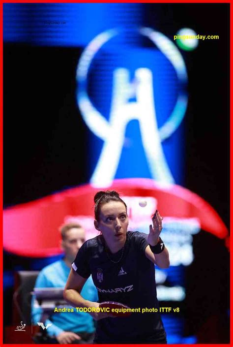 Equipos Andrea Todorovic Pingsunday