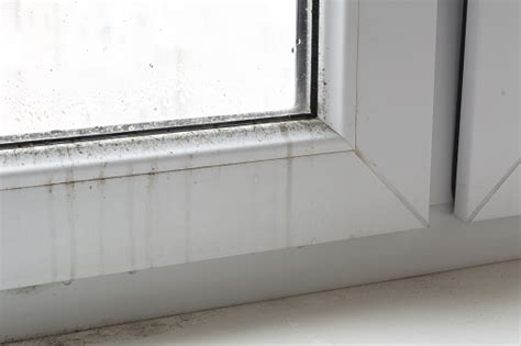품질이 좋지 않습니다 환기가 좋지 않아 플라스틱 창문의 품질이 좋지 않아 창문과 창문 틀에 검은 곰팡이가 생겼습니다 금형은