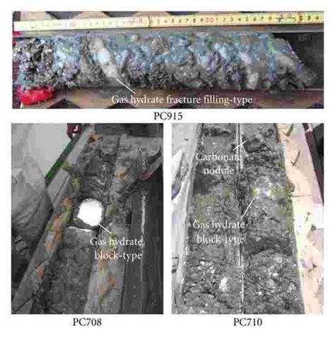 Gas Hydrate Bearing Sediments Collected By Piston Cores In Joetsu